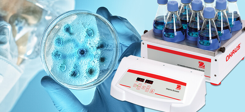 Protocole de laboratoire pour l’étude des bactéries isolées | OHAUS